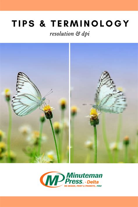 Understanding Resolution And Dpi⁠⁠ ⁠⁠ Resolution Refers To The Density