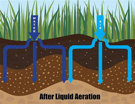 Lawn Aeration Experigreen