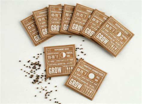 Six Brown Seed Packets With Seeds Scattered Around Them