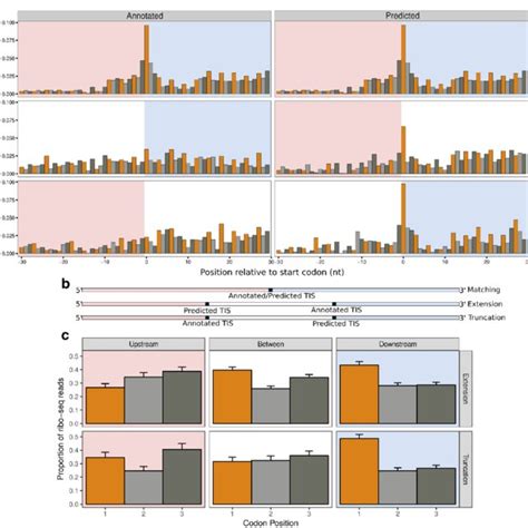 Translation Initiation Site Classification With Ribo Seq Read Length Download Scientific