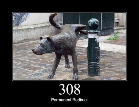 Dogs Explain What Different Status Codes Mean