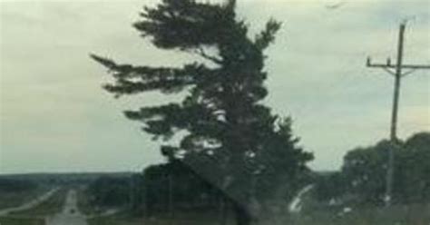 This Tree That Looks Like The Sprite From Et For The Atari 2600 Imgur