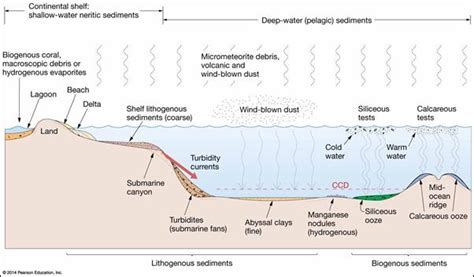 Terrigenous Sediment