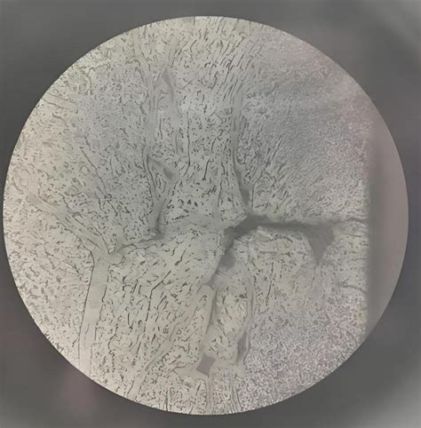How Microscopic Examination Reveals Metal Properties Scopelab