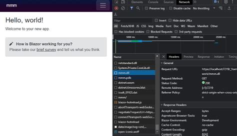 My Source Code Are Not Private In Webassembly Blazor · Issue 49726