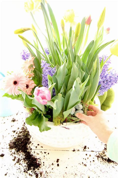 Container Garden Spring Flowers