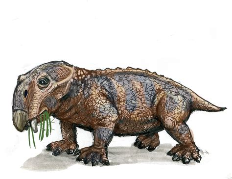 My Happy Little Lystrosaurus Rnaturewasmetal