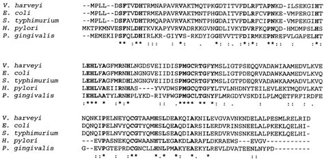 Alignment Of The Deduced P Gingivalis Luxs Sequence Obtained From The