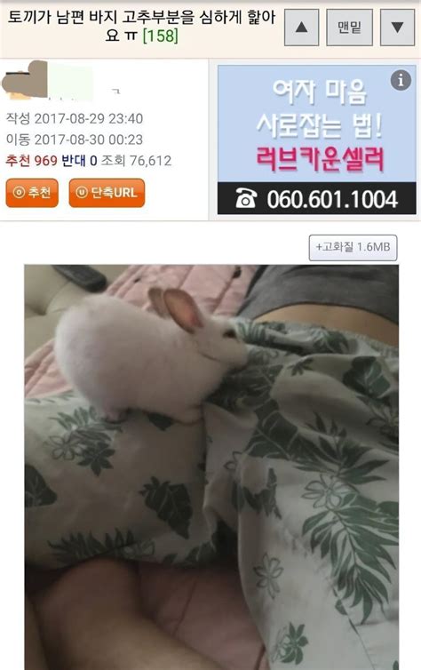 토끼가 남편 바지 고추부분을 심하게