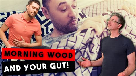 What Causes Morning Wood How Your Gut Effects Your Rock Hard Stage 4