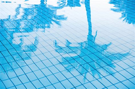 야자수의 열대 배경은 고급 호텔 수영장의 푸른 잔잔한 물 표면에 반사를 남깁니다 야자수 잎의 오픈 워크 윤곽과 추상적 인 배경