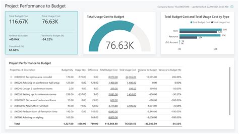 Project Performance To Budget Power Bi Report Business Central