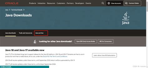 新手安装JDK教程 zulujdk CSDN博客