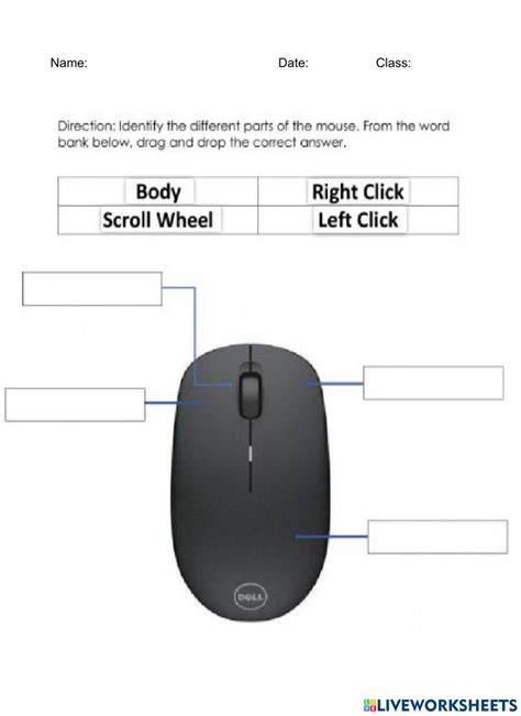 Lesson Plan On Computer Mouse For Grade 1 At Minh Boser Blog