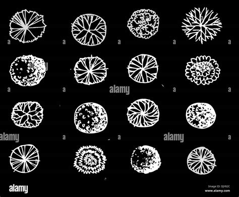 Trees Top View For Architecture Landscape Design Projects Stock Photo Alamy
