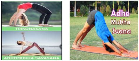 An Asana Is A Body Posture Originally And Still A General Term For A