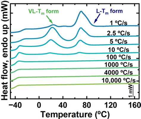 Unraveling The Complex Polymorphic Crystallization Behavior Of The