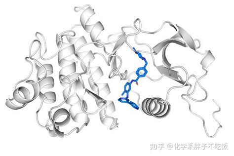【autodock Gpu】autodock Gpu版本安装及使用教程 知乎