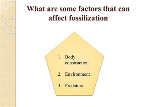 Fossilization Ppt PPTX Chemistry Science