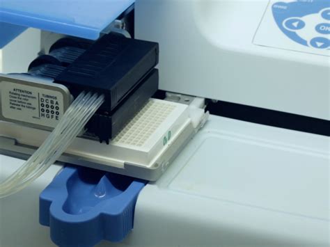 Video High Throughput Real Time Dual Readout Testing Of Intracellular Antimicrobial Activity