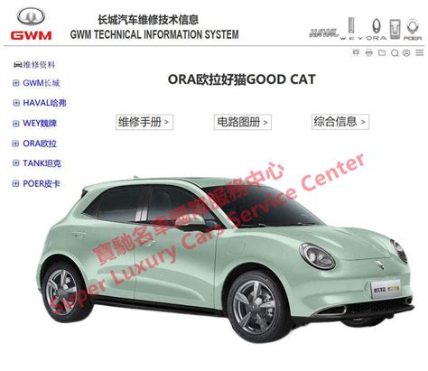 Gwm Ora Ev Workshop Service Repair Manuals Wiring Diagram Super