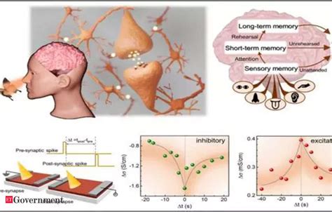 Artificial Synapse Developed For Brain Like Computing With Industry