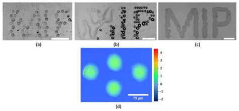 Development Of A Versatile Strategy For Inkjet Printed Molecularly Imprinted Polymer Microarrays