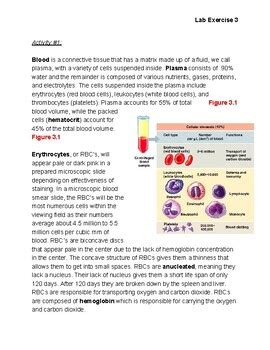 A P II Lab Exercise Blood Babe Version By Human Biology Resources