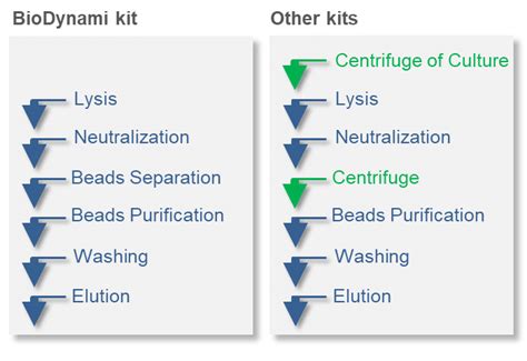 Plasmid Miniprep Kits Magnetic Beads
