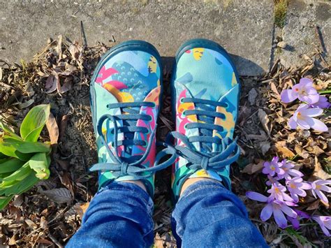 Sambas The Bambas Brand Review Barefoot Universe