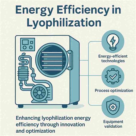 Energy Efficiency In Lyophilization A Complete Guide • Asita Freeze Dryer
