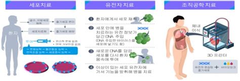 첨단 재생의료기술 선도···10년간 약 6천억 원 투입 뉴스 한의신문