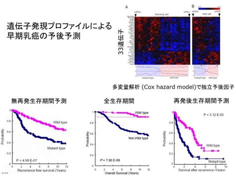 研究シーズ詳細情報（no 91） がん薬物療法開発／分子診断・分子治療技術の開発 東北大学 研究シーズ集