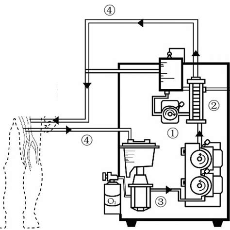Schematic Diagram Of Extracorporeal Circulation Compression Perfusion ①