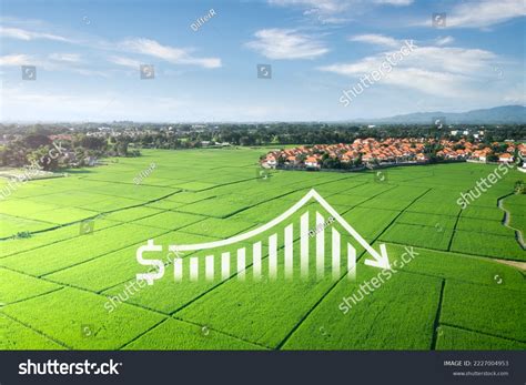 Land Value Over Royalty Free Licensable Stock Photos Shutterstock
