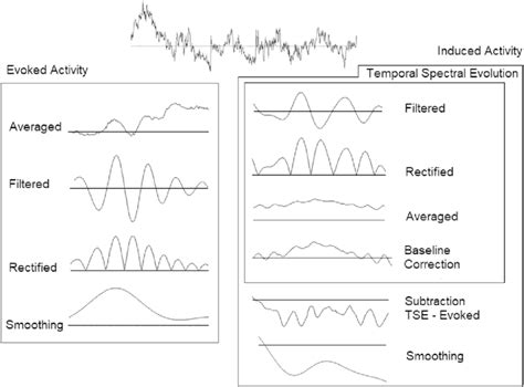 Schematics Of EEG Signal Processing Used To Obtain Evoked And Induced Download Scientific