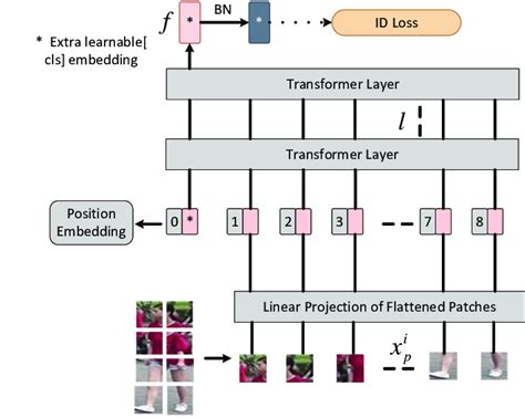 Framework Of The Baseline The Output [cls] Token Marked With Serves