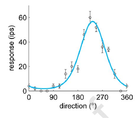 Direction Tuning In Area This Neuron Responds Most Strongly To An Download Scientific