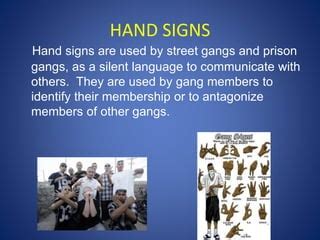 Recognizing Gang Affiliation Pptx