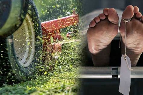 තණකොළ කපන මැෂිමෙන් ආ මාරයා