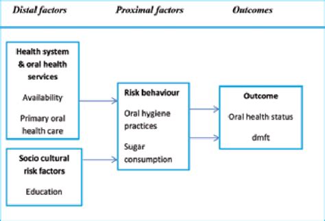 Variables Adapted From The Socio Behavioural Risk Factor Approach Download Scientific Diagram