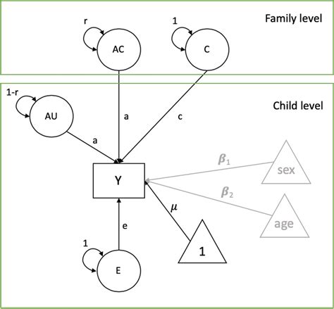 Multilevel Parametrization Of The Ace Model Where Y Represents The