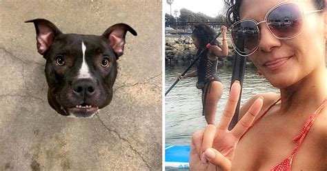 Photos That Will Test Your Visual Perception Weird Perspective Better Than Photoshop