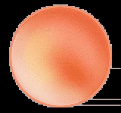 潮流炫彩模糊噪点颗粒感时尚海报设计渐变背景底纹ps设计素材psd 30 Png素材下载 花瓣网