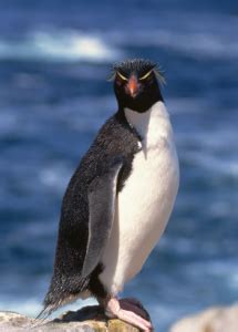 CorelDRAW Help Texture