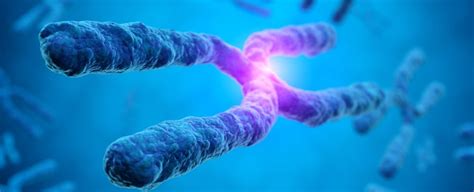 Extra Sex Chromosomes In Men Seem To Be Much More Common Than We Realized ScienceAlert