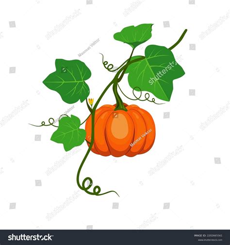 How To Draw Pumpkin Creeper