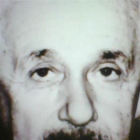 Liu Zhiyuan Shanghai University Shanghai Shu Sydney Institute Of Language And Commerce