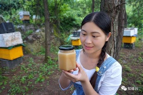 秋冬知蜂谷蜂蜜 滋補 每日頭條