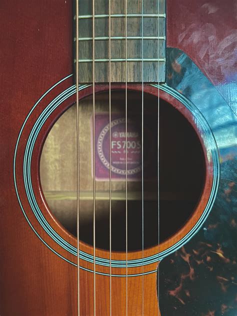 Cell Series Sam Holtz Portfolio